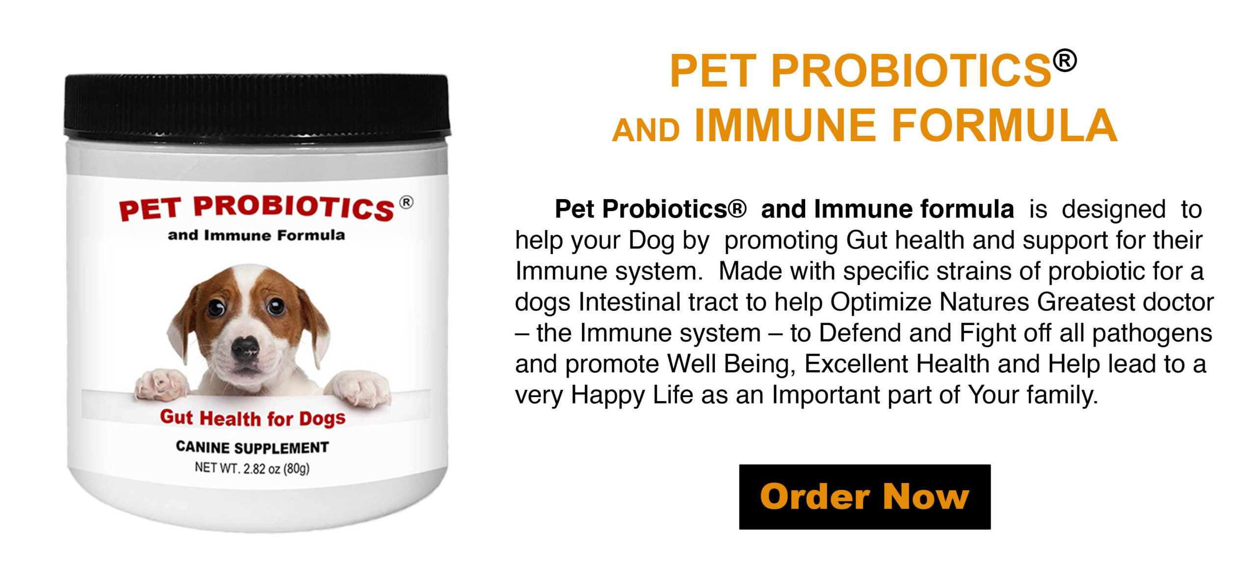 Pet Probiotics | Because Your Dog Deserves the BEST!